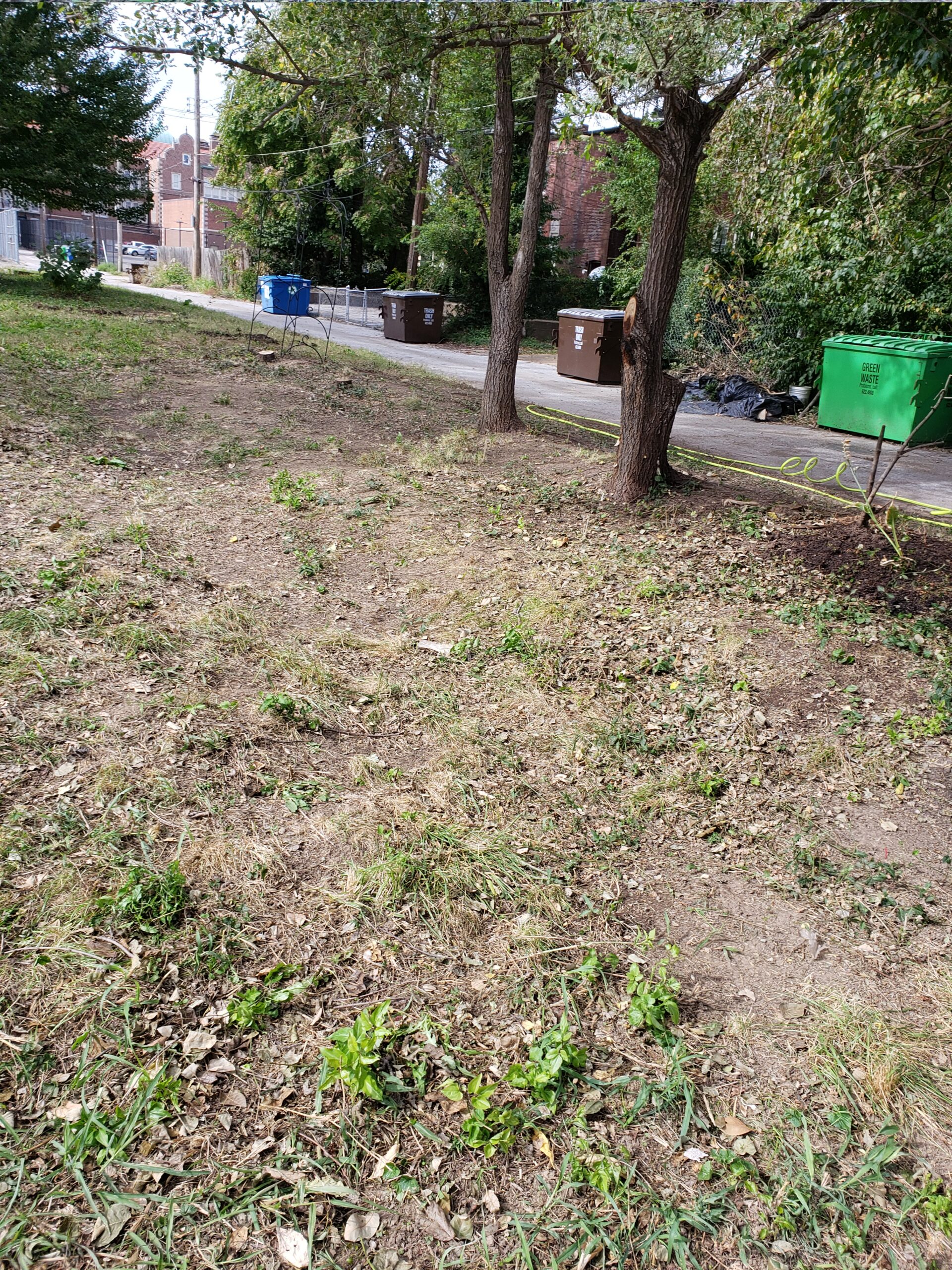 Brightside St. Louis | Cleaning & Greening