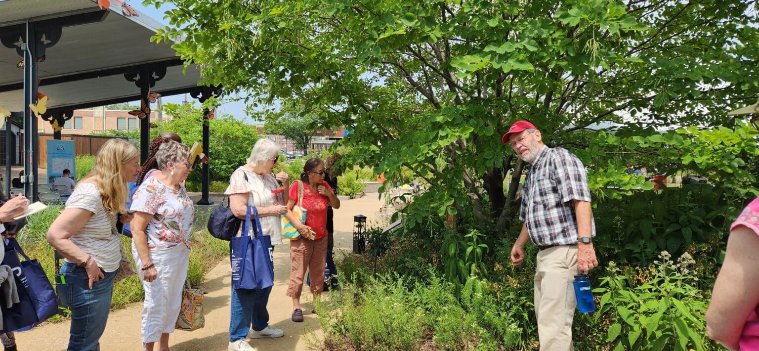 Brightside St. Louis | Cleaning & Greening