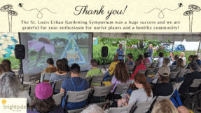 Brightside St. Louis | Cleaning & Greening