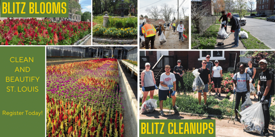 Brightside St. Louis | Cleaning & Greening