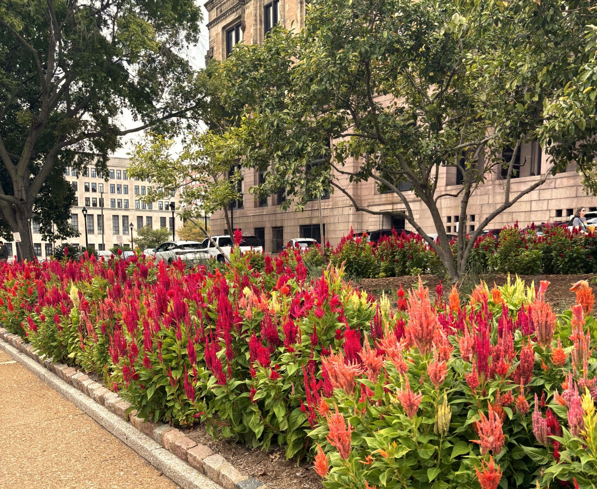 Brightside St. Louis | Cleaning & Greening